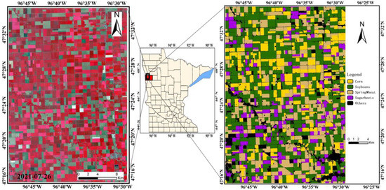 Deep Learning Application for Crop Classification via Multi-Temporal Remote Sensing Images