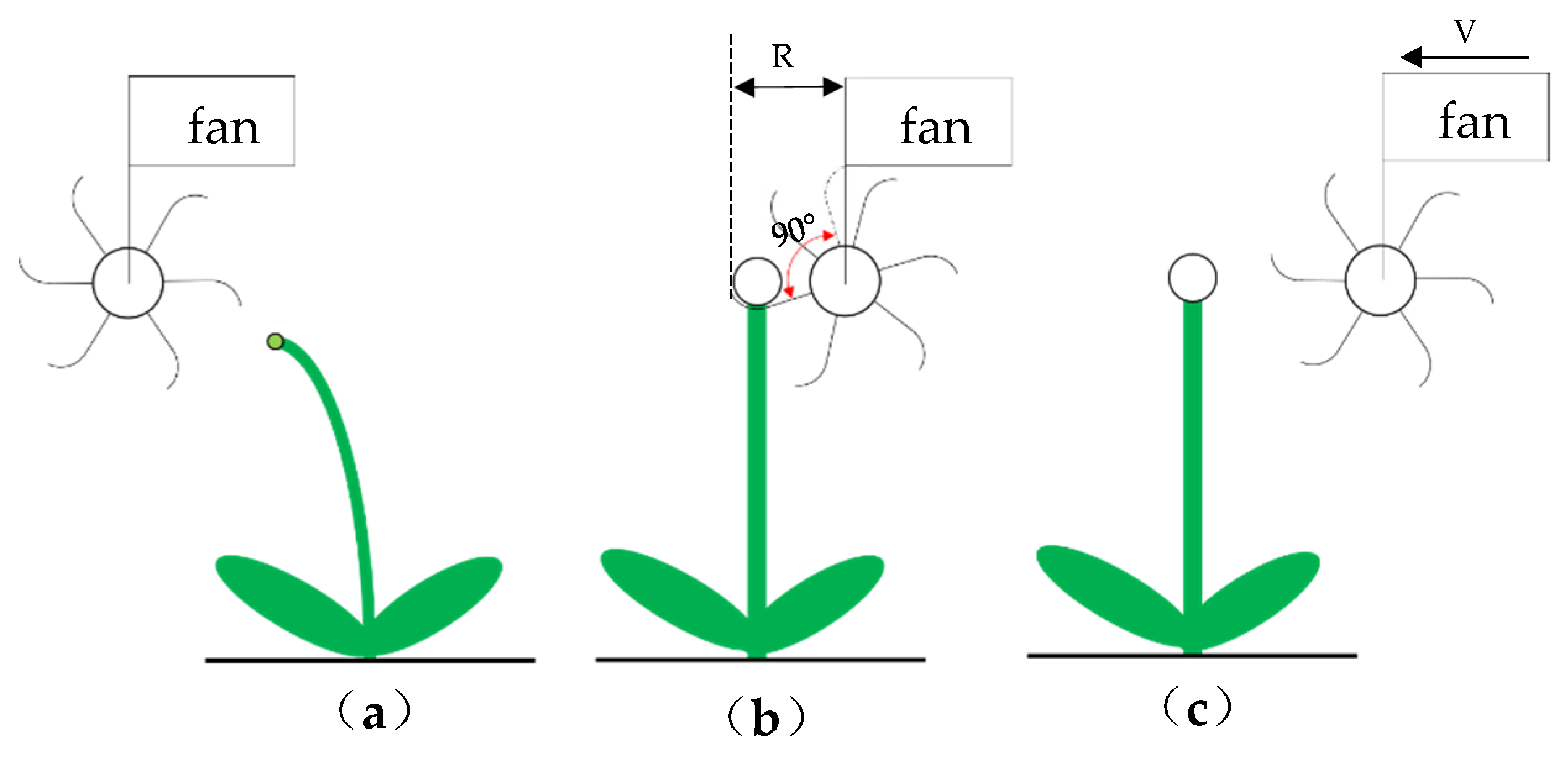 Design and Testing of a Self-Propelled Dandelion Seed Harvester