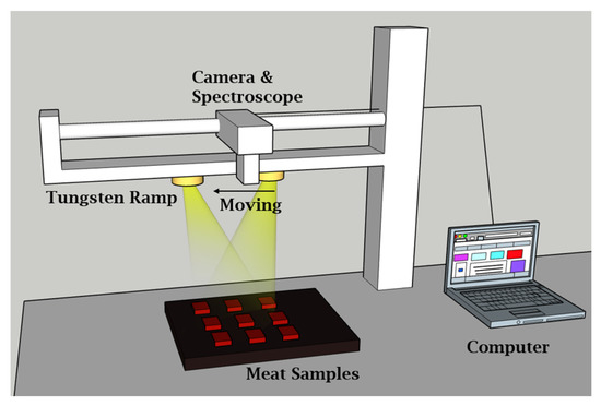 Classification of Fresh and Frozen-Thawed Beef Using a Hyperspectral ...