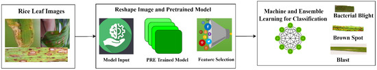 Pre-Trained Deep Neural Network-Based Features Selection Supported ...