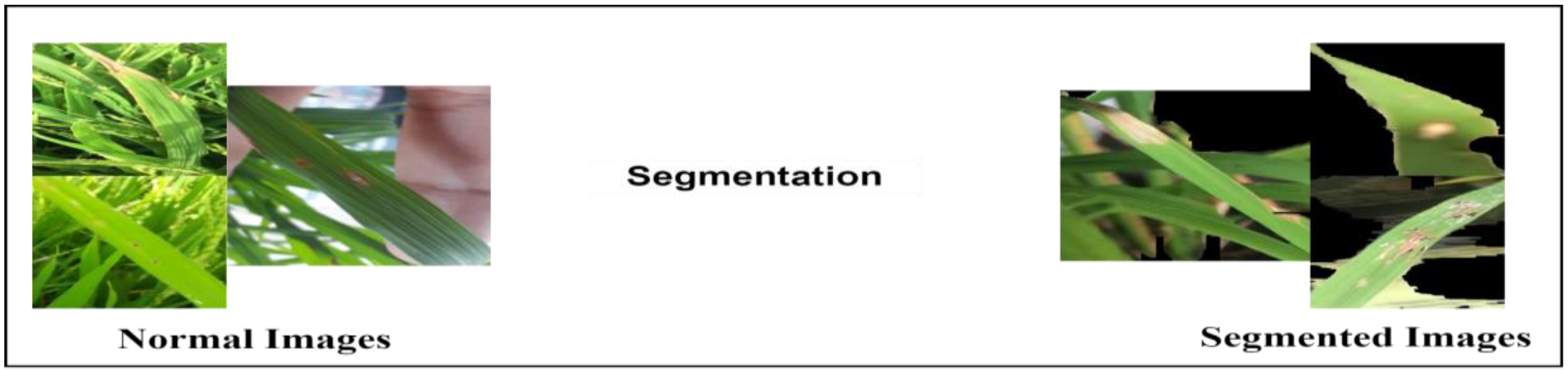 Pre-Trained Deep Neural Network-Based Features Selection Supported ...