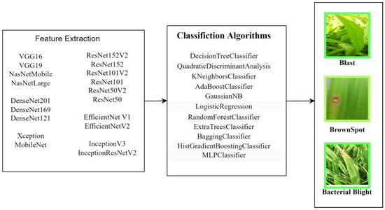 Pre-Trained Deep Neural Network-Based Features Selection Supported ...