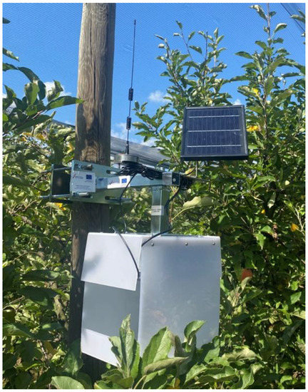 EfficientDet-4 Deep Neural Network-Based Remote Monitoring of Codling Moth Population for Early ...