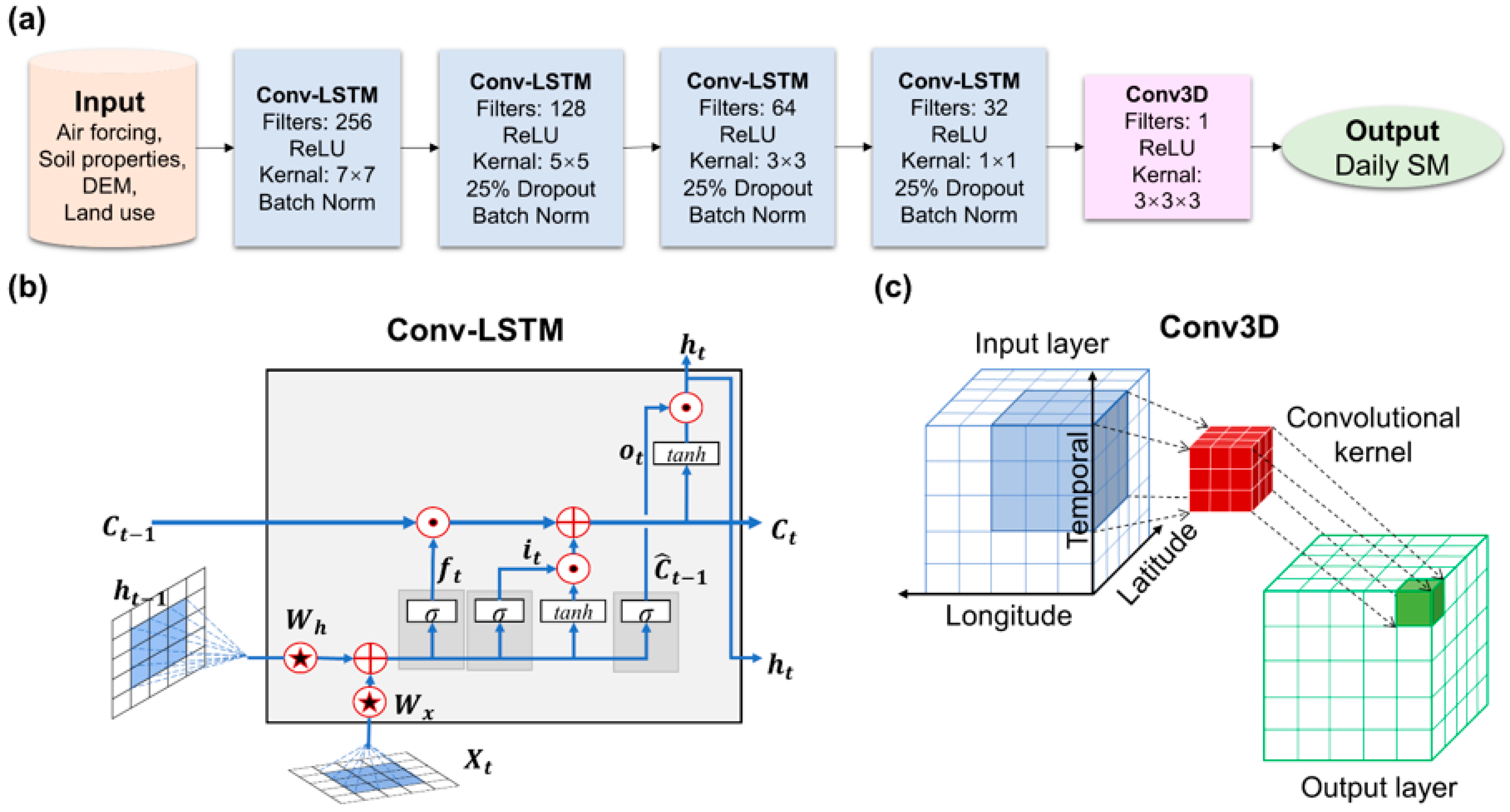 Interpreting Conv-LSTM for Spatio-Temporal Soil Moisture Prediction in China