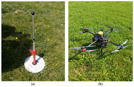 Challenges of Pasture Feeding Systems—Opportunities and Constraints