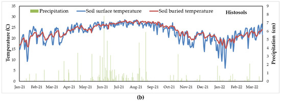 Field Incubation Studies on Nutrient Mineralization of Bagasse on ...
