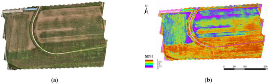 Agriculture | Free Full-Text | Study on Monitoring SPAD Values for Multispatial Spatial Vertical ...