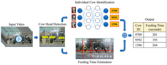 Facial Region Analysis for Individual Identification of Cows and ...