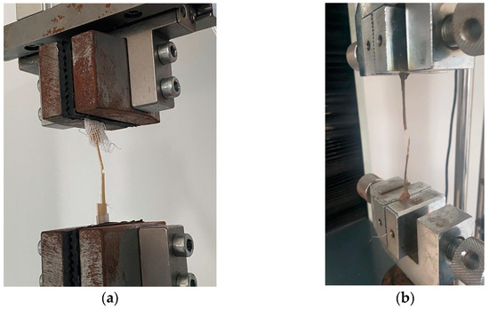 Calibration of Ramie Stalk Contact Parameters Based on the Discrete Element Method