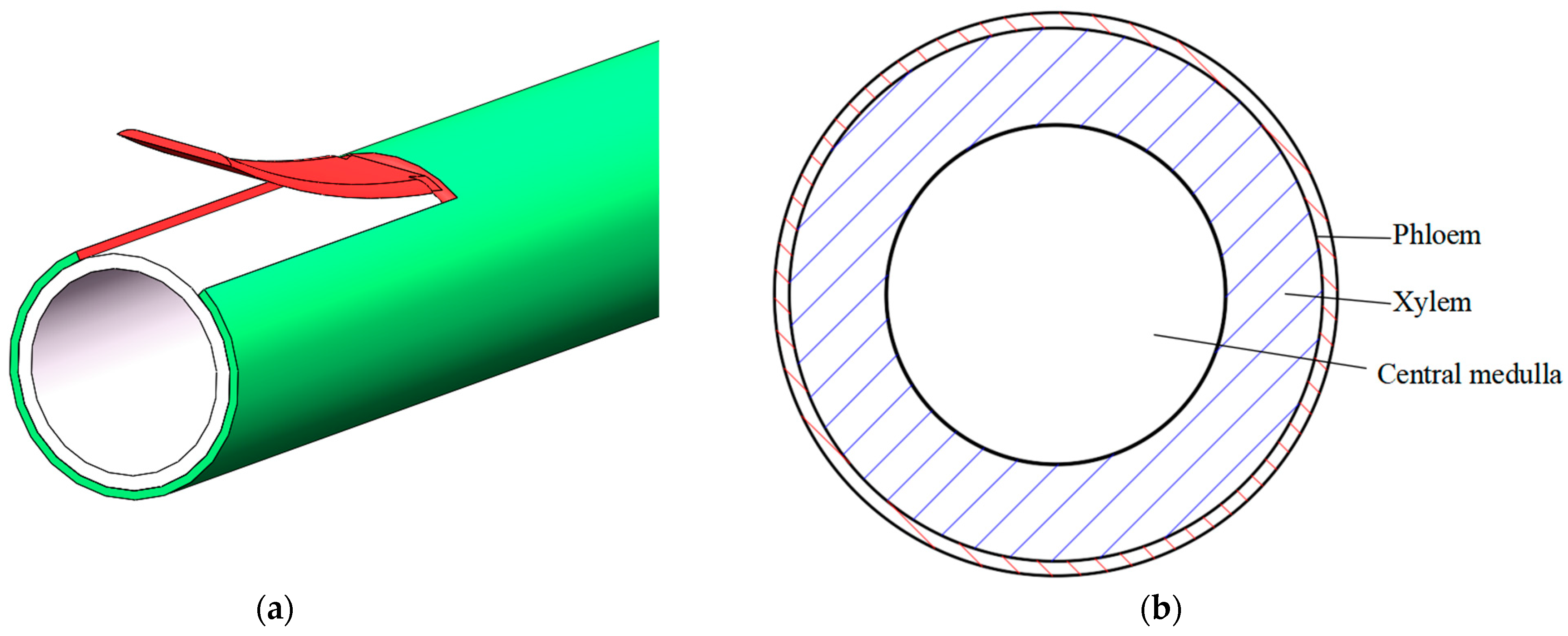 Calibration of Ramie Stalk Contact Parameters Based on the Discrete Element Method
