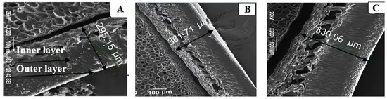 Hard Seed Characteristics and Seed Vigor of Ormosia hosiei