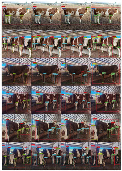 Detection of Cattle Key Parts Based on the Improved Yolov5 Algorithm