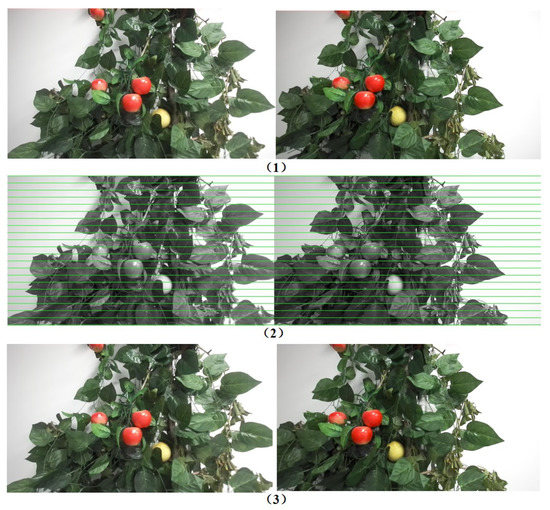Beyond Trade-Off: An Optimized Binocular Stereo Vision Based Depth ...