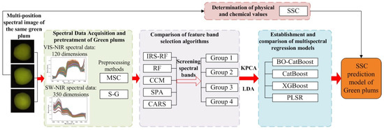 Prediction of Solid Soluble Content of Green Plum Based on Improved ...