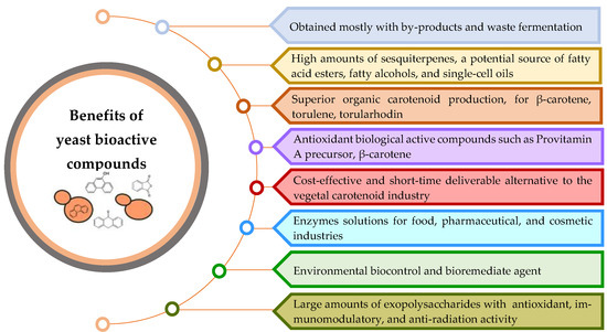 Transforming Rhodotorula sp. Biomass to Active Biologic Compounds for ...