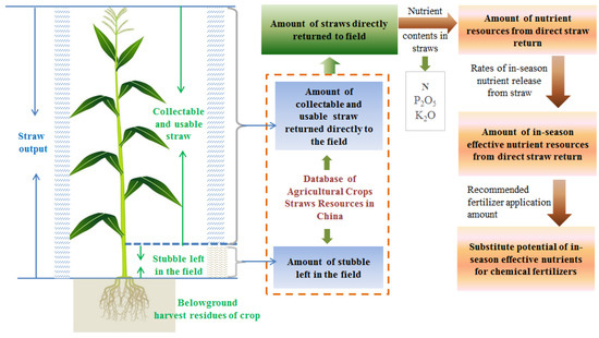 Analysis of the Available Straw Nutrient Resources and Substitution of ...