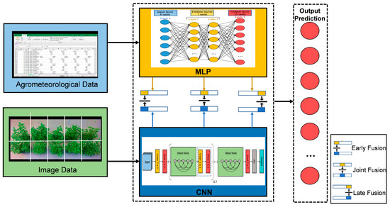 M2F-Net: A Deep Learning-Based Multimodal Classification with High-Throughput Phenotyping for ...