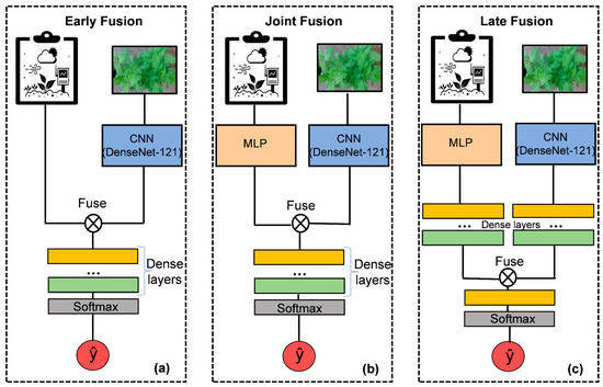 M2F-Net: A Deep Learning-Based Multimodal Classification with High-Throughput Phenotyping for ...
