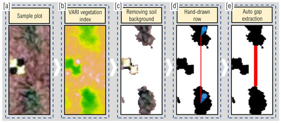 Mapping Gaps in Sugarcane Fields Using UAV-RTK Platform