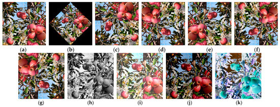Improved Apple Fruit Target Recognition Method Based on YOLOv7 Model