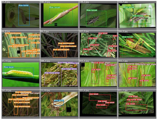 MobileNet-CA-YOLO: An Improved YOLOv7 Based on the MobileNetV3 and ...