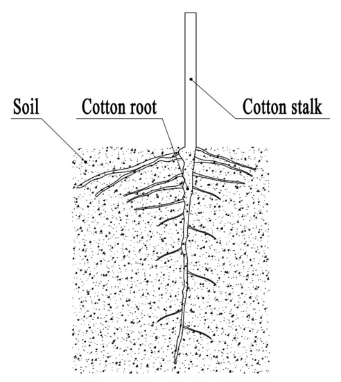 Parameter Calibration of Discrete Element Model for Cotton Rootstalk ...