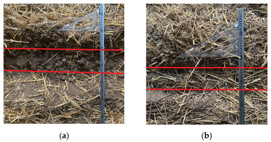 Agriculture | Free Full-Text | Design and Experiment of Row Cleaner ...