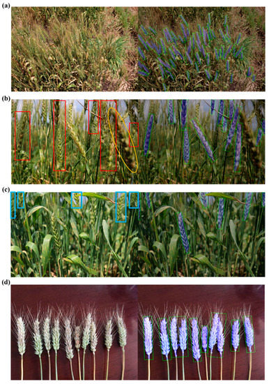 Agriculture | Free Full-Text | An Integrated Multi-Model Fusion System ...