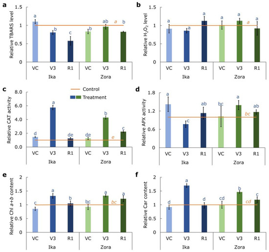 Photosynthetic Efficiency and Antioxidative Response of Soybean Exposed ...