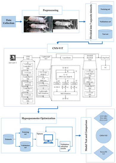 Non-Contact Measurement of Pregnant Sows’ Backfat Thickness Based on a ...