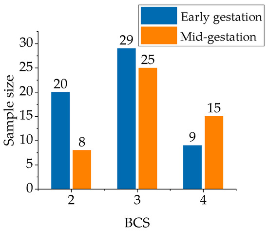 Non-Contact Measurement of Pregnant Sows’ Backfat Thickness Based on a ...