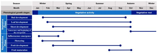 Reviewing the Adverse Climate Change Impacts and Adaptation Measures on ...