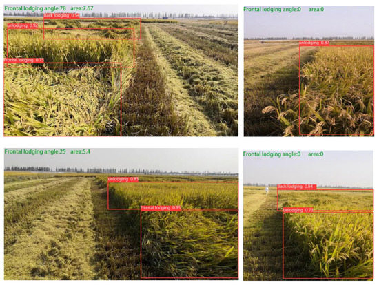 Segmentation and Angle Calculation of Rice Lodging during Harvesting by ...