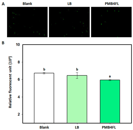 Developing Fermentation Liquid of Bacillus amyloliquefaciens PMB04 to ...