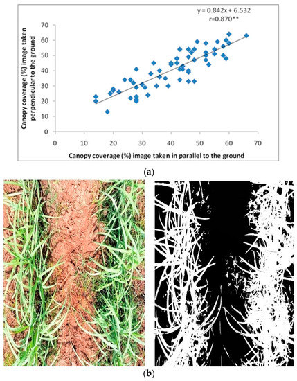 Agriculture | Free Full-Text | Rapid and Non-Destructive Methodology ...