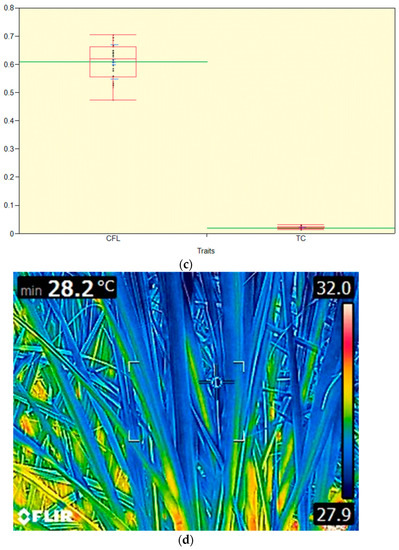 Agriculture | Free Full-Text | Rapid and Non-Destructive Methodology ...