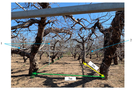 Navigation of Apple Tree Pruning Robot Based on Improved RRT-Connect Algorithm