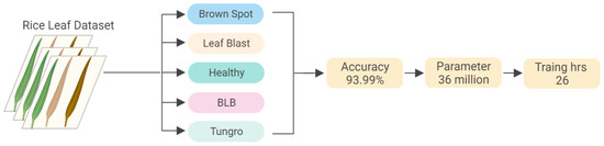 Classification and Detection of Rice Diseases Using a 3-Stage CNN ...