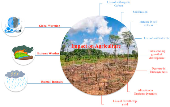 An Overview of Climate Change Impacts on Agriculture and Their ...