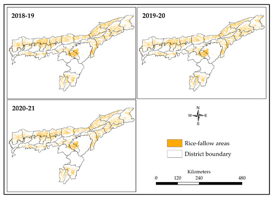 Rice-Fallow Targeting for Cropping Intensification through Geospatial ...