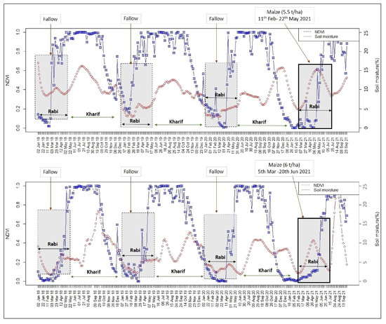 Rice-Fallow Targeting for Cropping Intensification through Geospatial ...