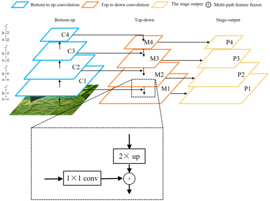 Semantic Segmentation of Cucumber Leaf Disease Spots Based on ECA-SegFormer