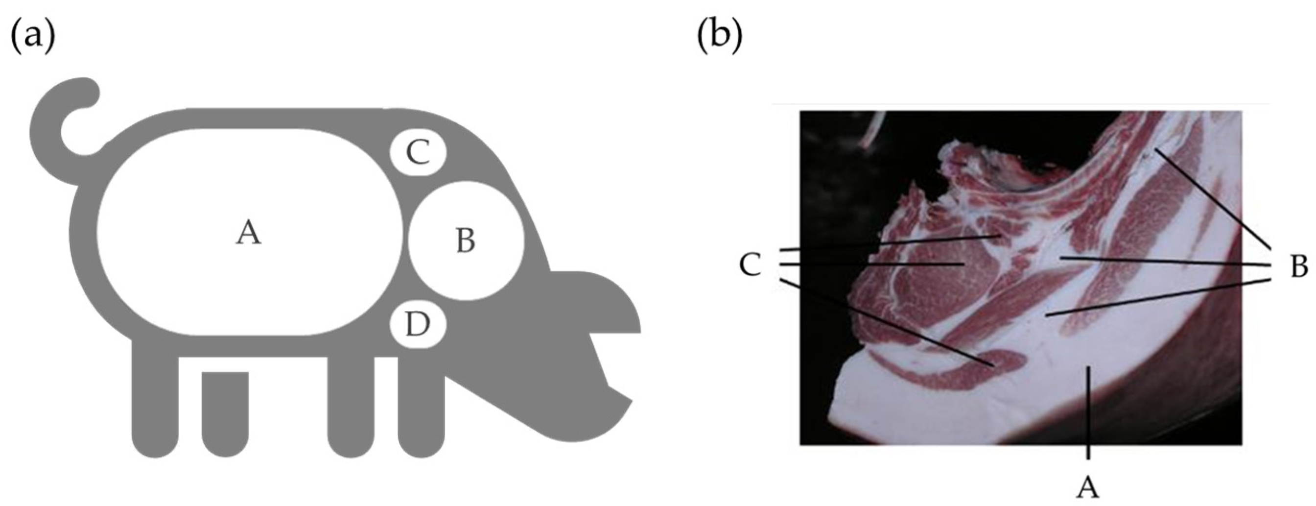 Agriculture | Free Full-Text | System Design of Optimal Pig Shipment ...