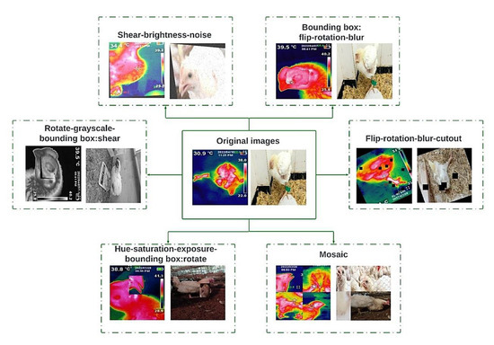 Agriculture | Free Full-Text | YOLO-Based Model for Automatic Detection ...