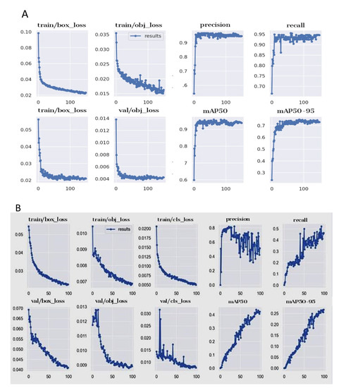 Agriculture | Free Full-Text | YOLO-Based Model for Automatic Detection ...