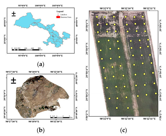 Inversion Model of Salt Content in Alfalfa-Covered Soil Based on a Combination of UAV Spectral ...