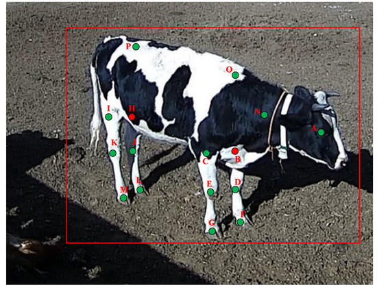 Study of Pose Estimation Based on Spatio-Temporal Characteristics of ...