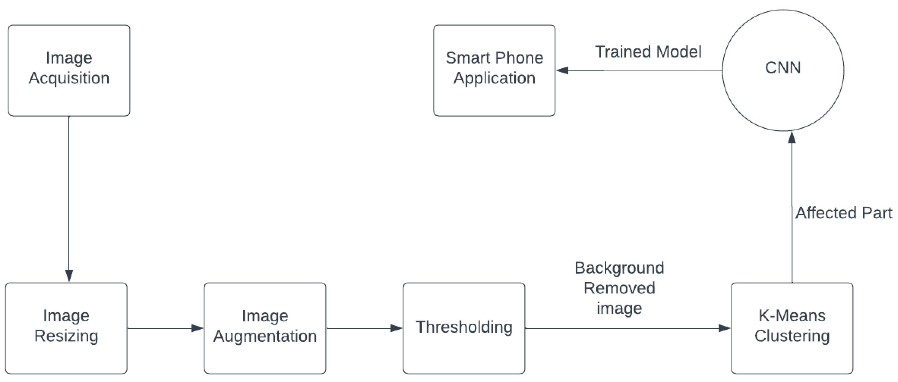 Enhancing Rice Crop Management: Disease Classification Using ...
