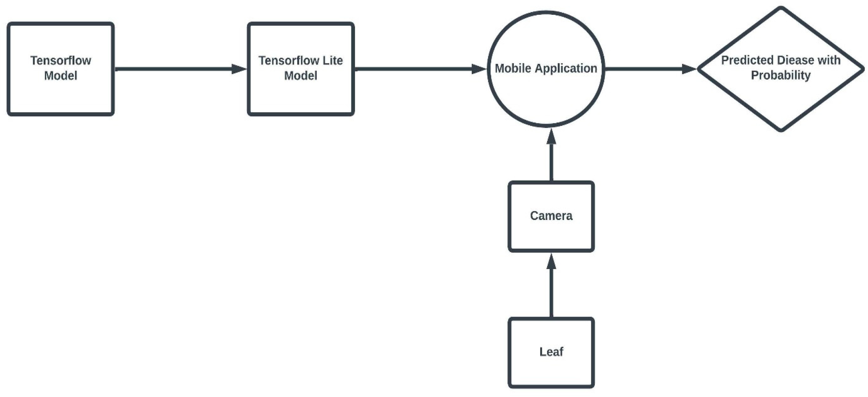 Agriculture Free Full Text Enhancing Rice Crop Management Disease Classification Using