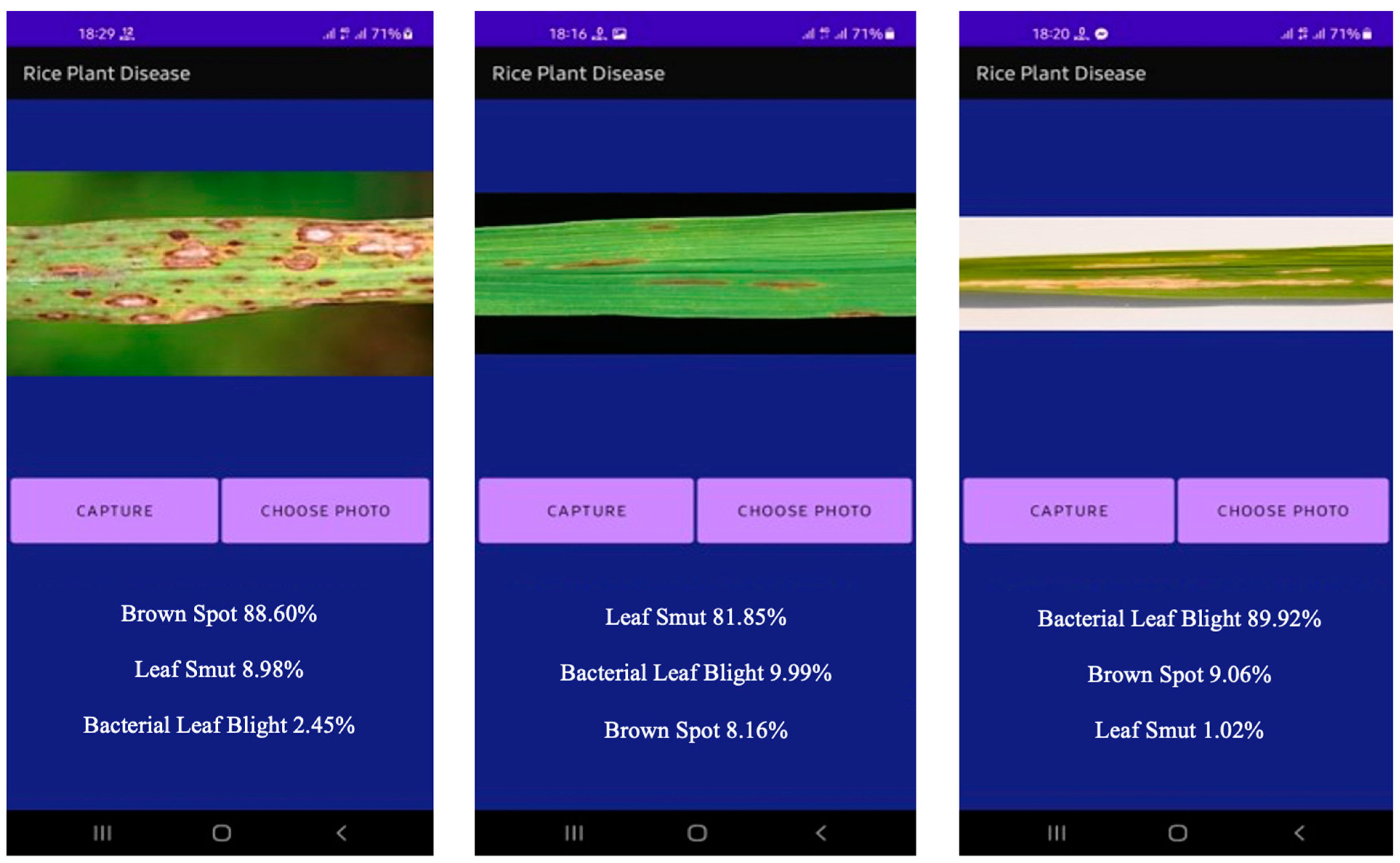 Agriculture Free Full Text Enhancing Rice Crop Management Disease Classification Using